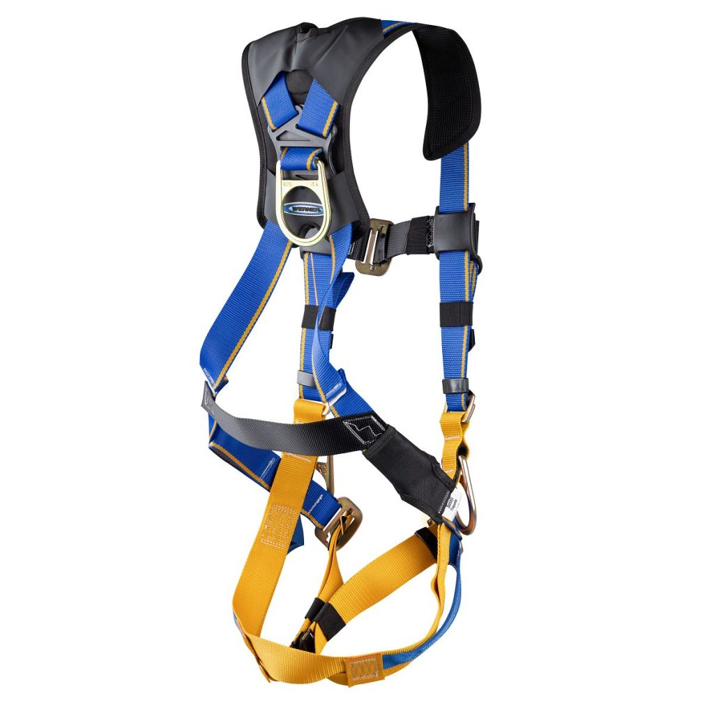 Buy Werner Fall Protection Blue Armor H231004 Positioning (Back And Hip ...